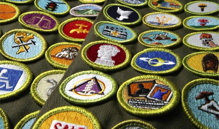 Advancement through the 7 ranks of Scouts BSA