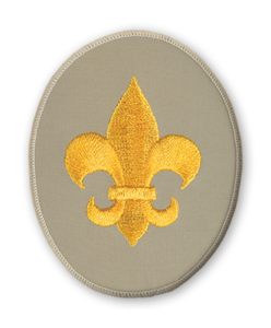 Advancement through the 7 ranks of Scouts BSA