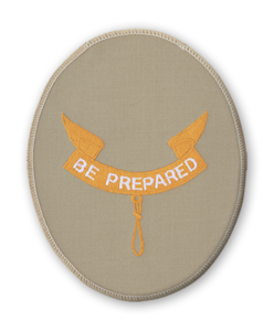 Advancement through the 7 ranks of Scouts BSA