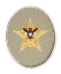 Advancement through the 7 ranks of Scouts BSA